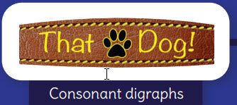 Phonic Books That Dog! - Decodable Books for Older Readers (CVC, Conso ...